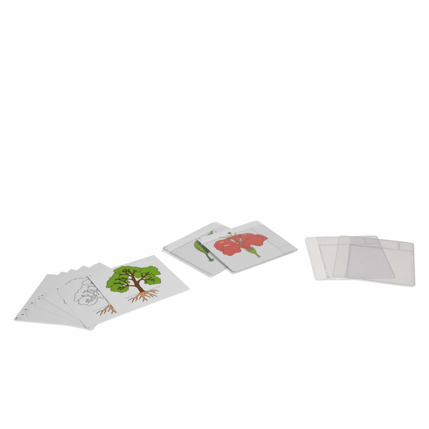 Botany - Montessori eshop s.r.o.